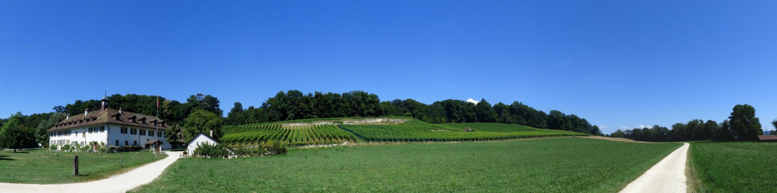 Ile St-Pierre – Cerlier - Sommets.ch