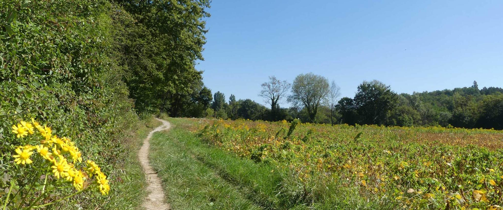 Chancy - Chancy - Sommets.ch