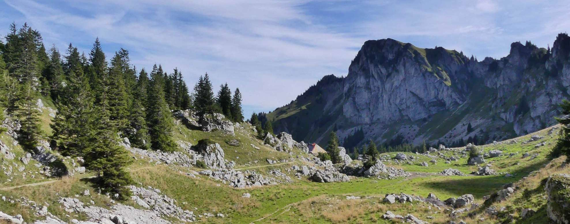 Jaman - Les Sciernes d'Albeuve - Sommets.ch