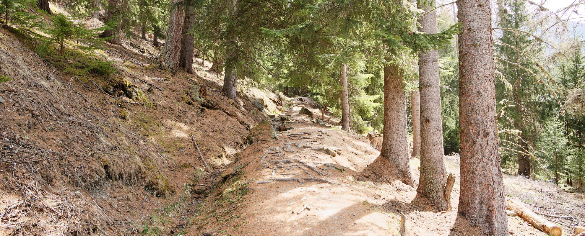 Bisses d'Ossona, de Tsa Crêta et de St-Martin - Sommets.ch